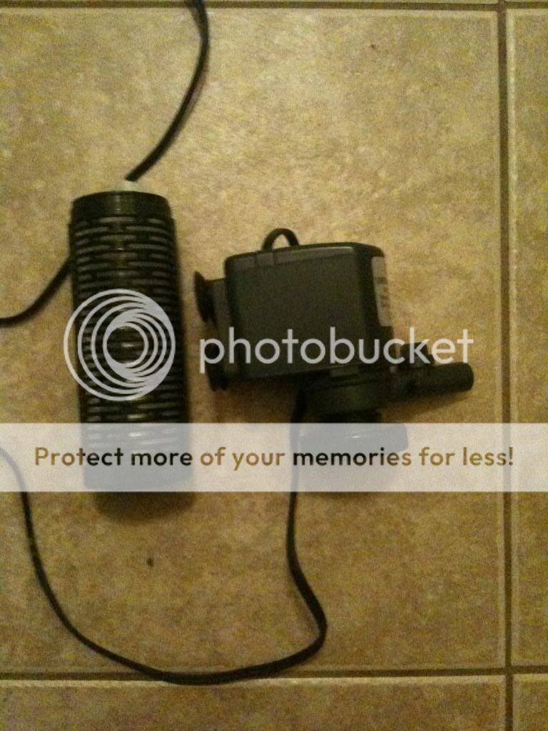 Undergravel filter slats-socal-pickup | MonsterFishKeepers.com